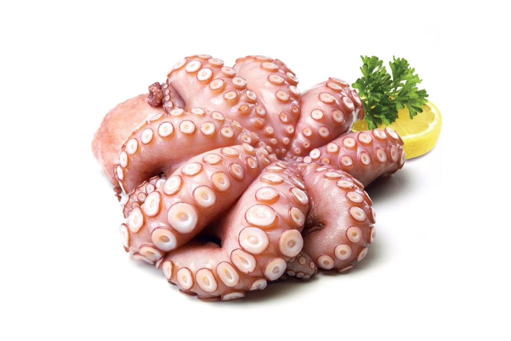 Осьминог 0,8-1,2 кг Марокко купить в Екатеринбурге с доставкой. Molluska
